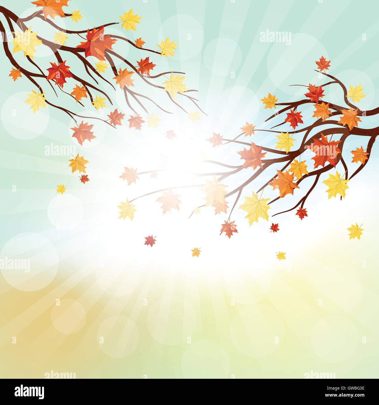Autumn Frame With Falling Maple Leaves on Sky Background. Elegant ...