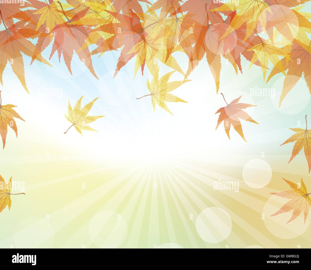 Autumn Frame With Falling Maple Leaves on Sky Background. Elegant ...