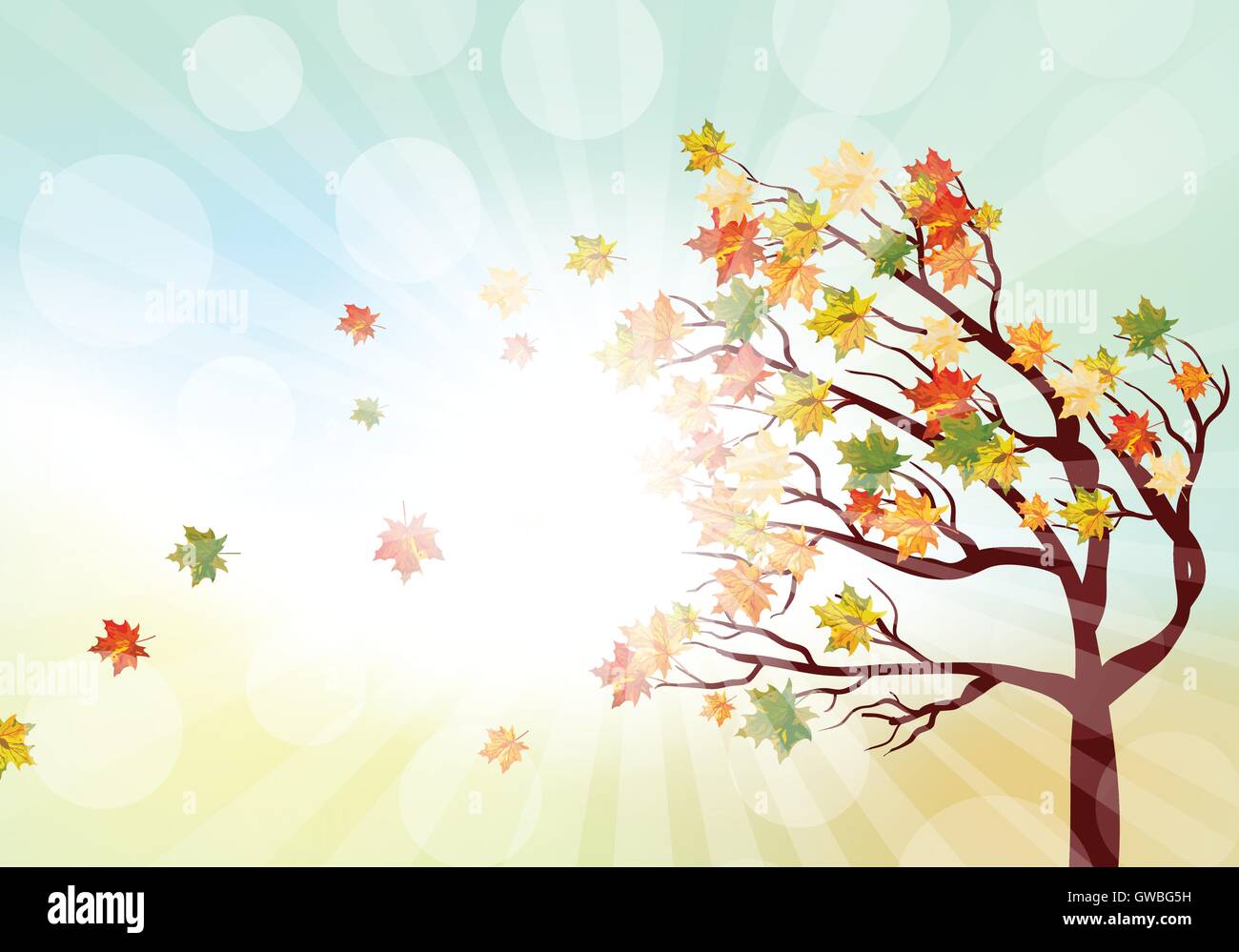 Autumn Frame With Falling Maple Leaves on Sky Background. Elegant ...