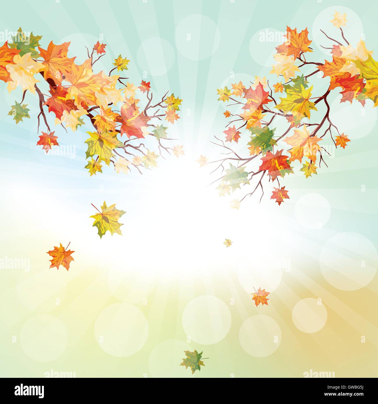 Autumn Frame With Falling Maple Leaves on Sky Background. Elegant ...