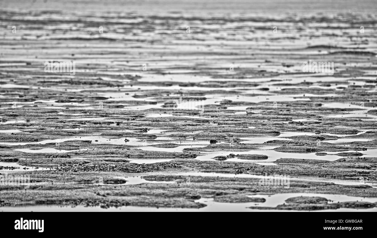 Mudflat north sea Stock Photo - Alamy