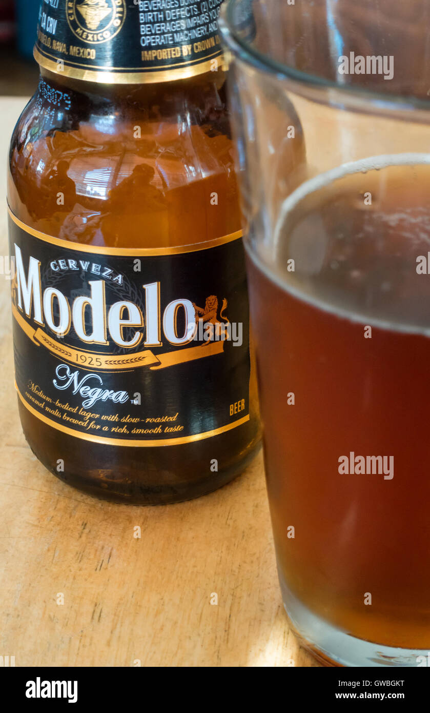 Modelo Negra, an amber Mexican beer Stock Photo - Alamy