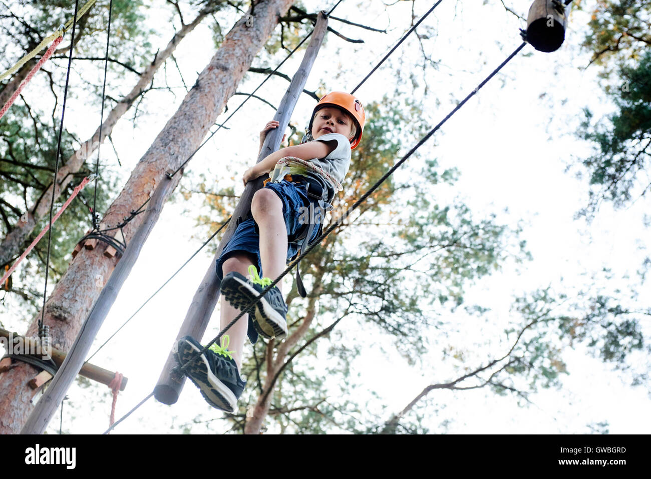 Portrait of active brave boy enjoying outbound climbing at adventure ...