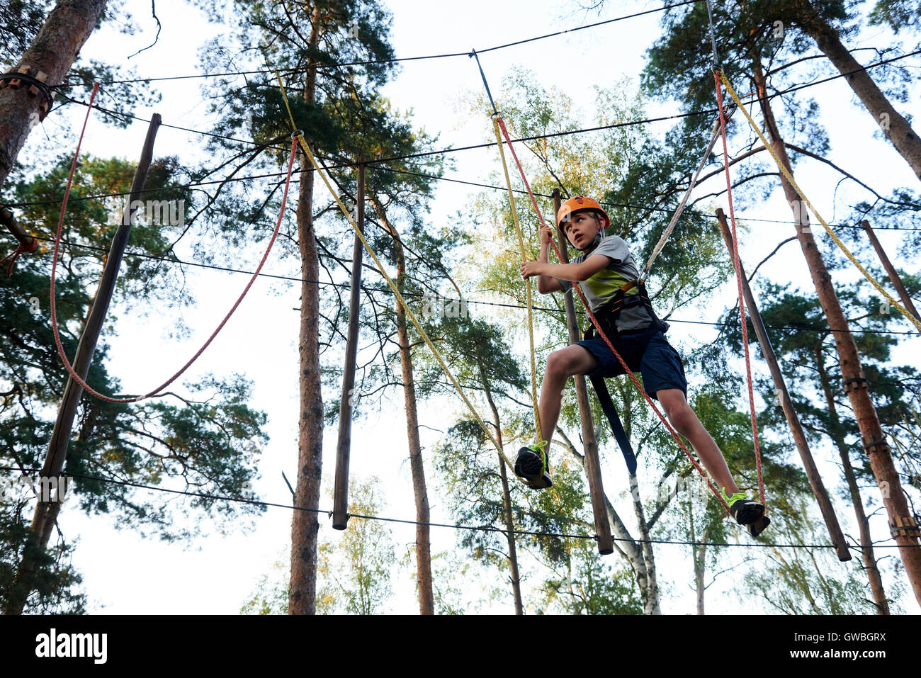Portrait of active brave boy enjoying outbound climbing at adventure ...