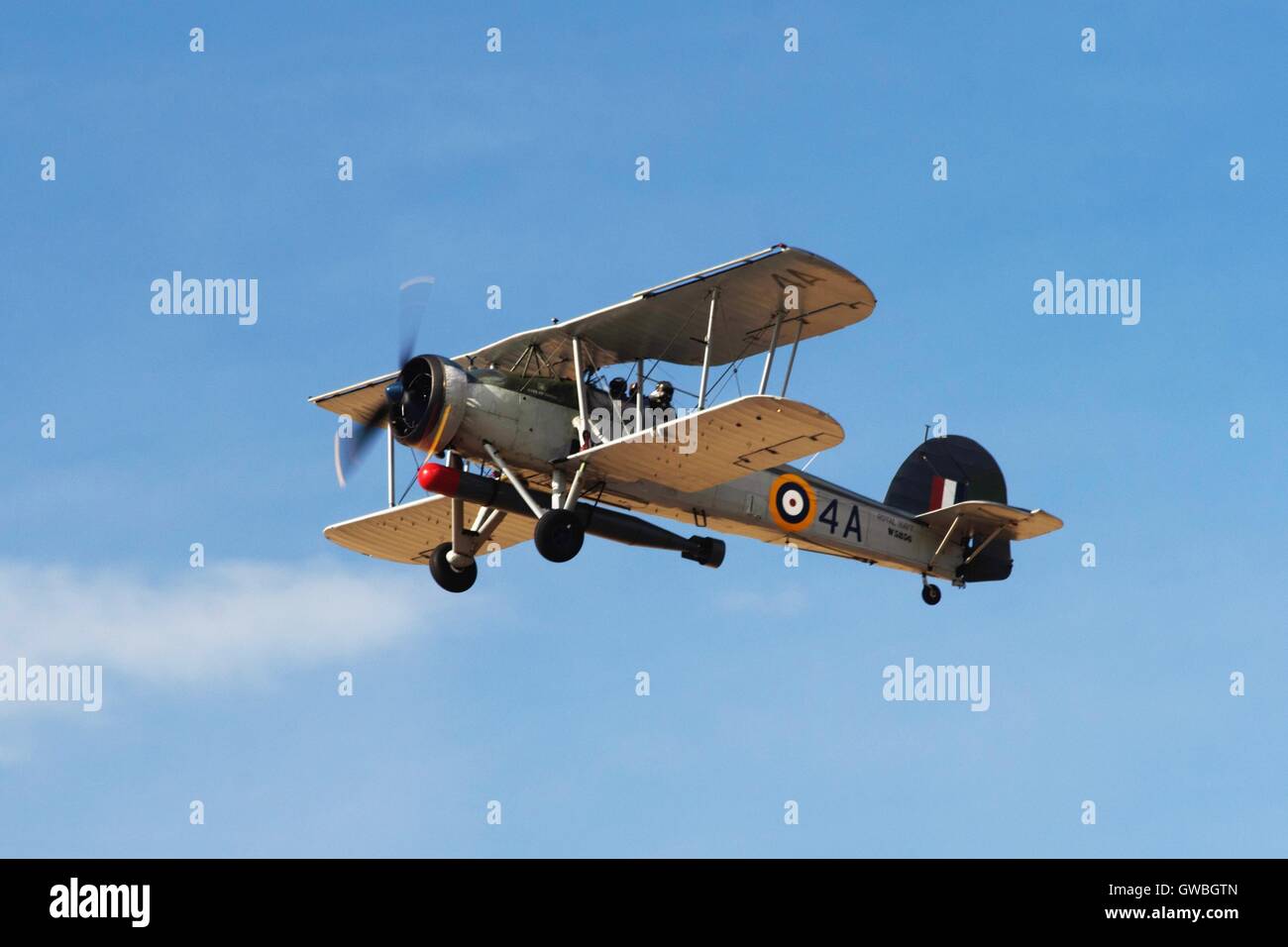 Fairy Swordfish High Resolution Stock Photography and Images - Alamy