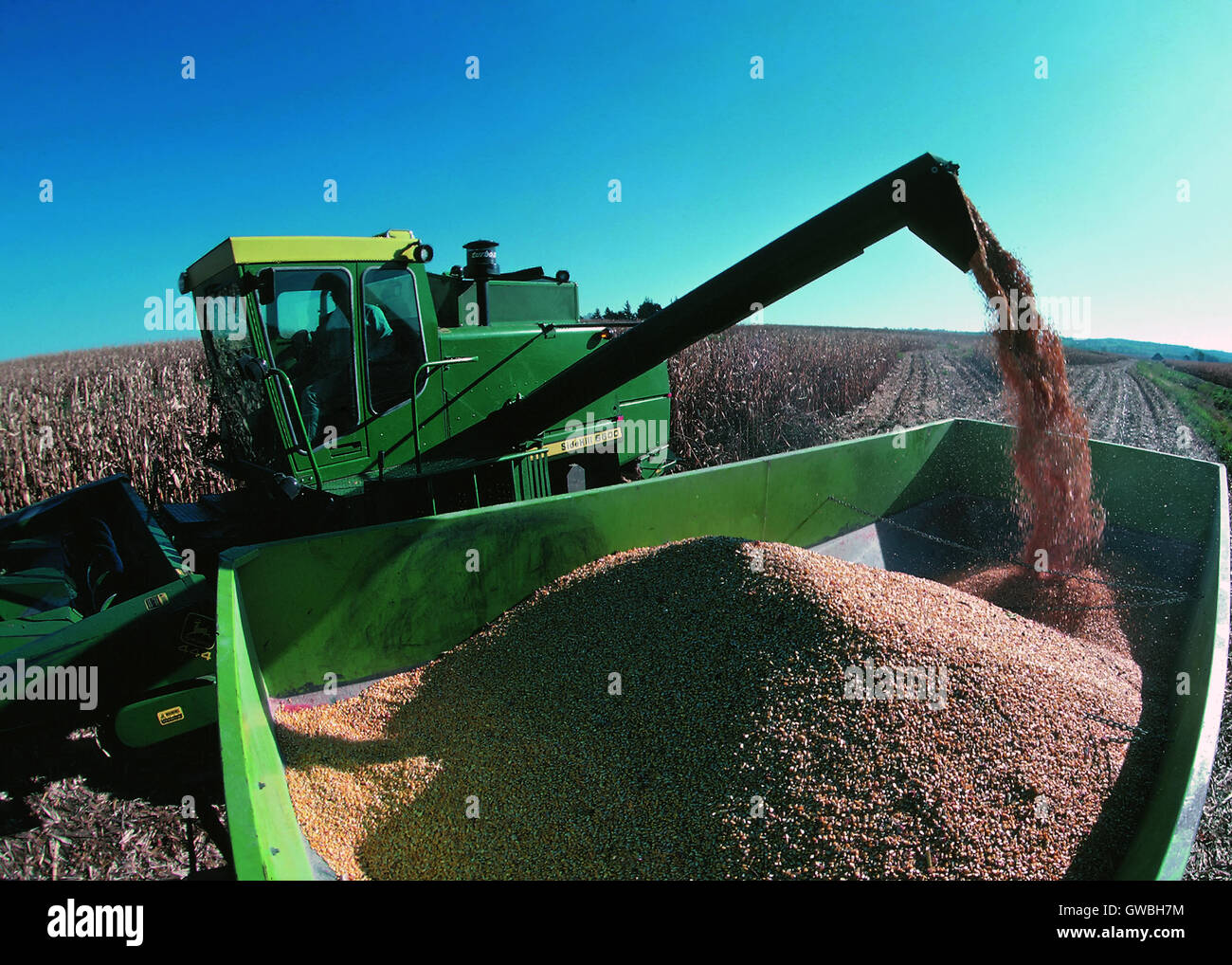 A John Deere combine harvests a corn crop field at a farm in Iowa Stock ...