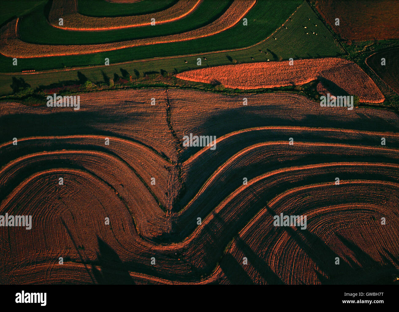 Aerial view of row crop terraces at a farm in Clayton County, Iowa ...