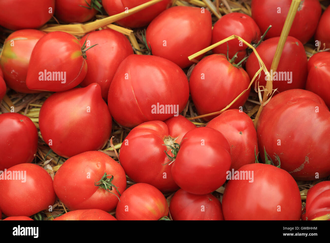 Tomatoes on stall in market at Place d'Eglise, Larmor-Baden, Morbihan ...