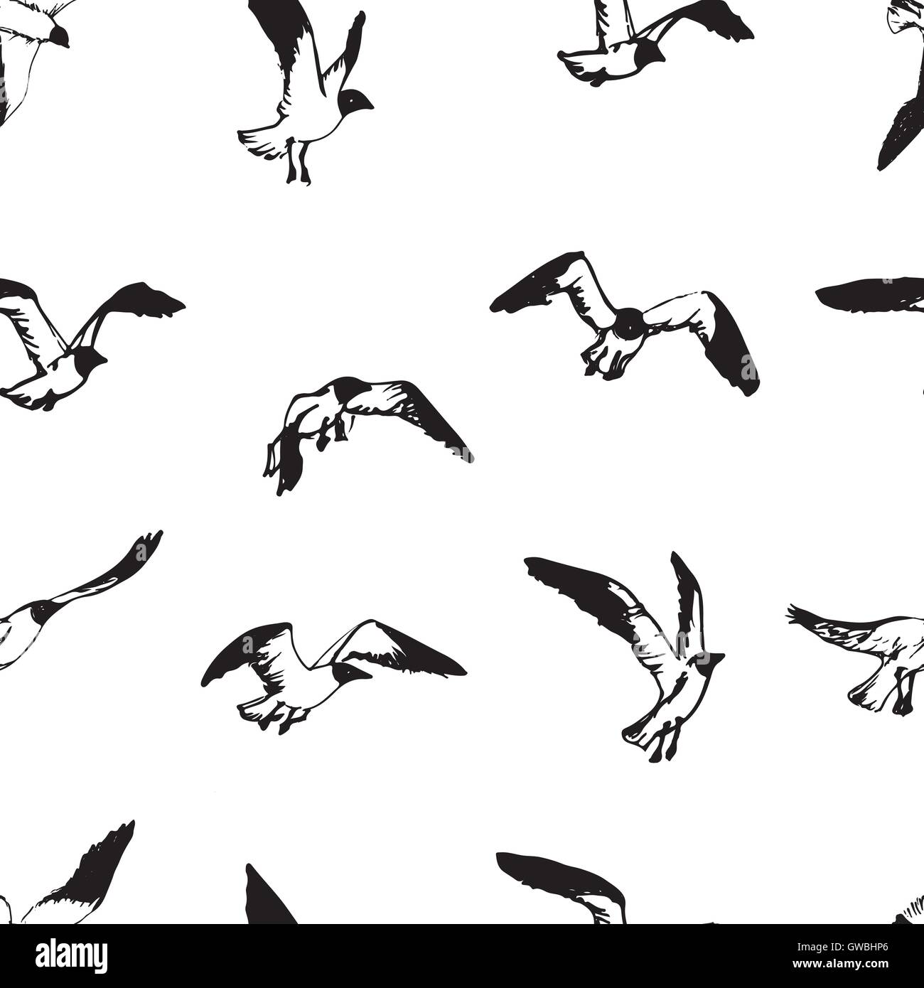 Seagull seamless pattern. Hand drawn flying birds background. Sketch ...