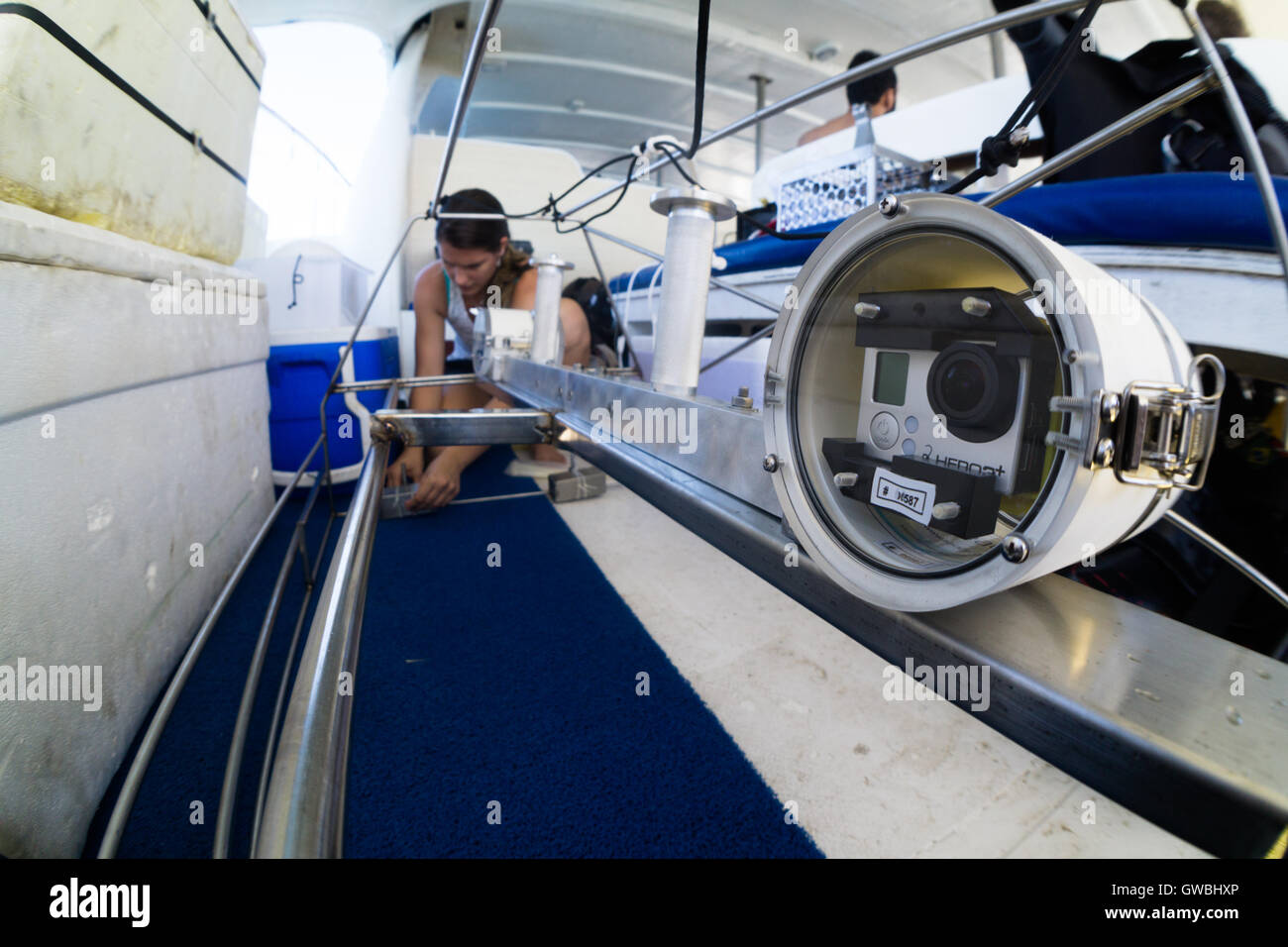 Research methodology hi-res stock photography and images - Alamy