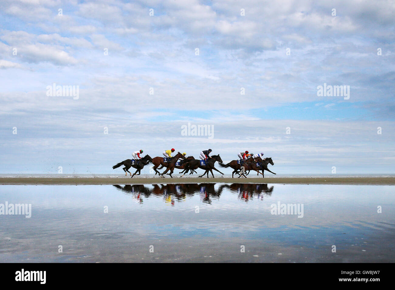 Runners and riders during the Gilna's Cottage Inn Maiden at the Laytown ...