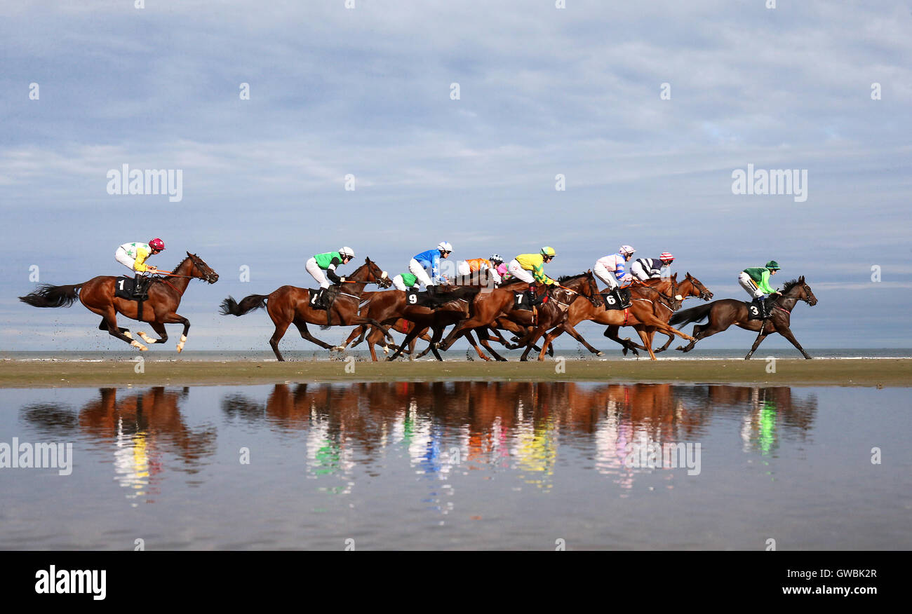 Horse racing reflection reflected emperor bob sea beach hi-res stock ...