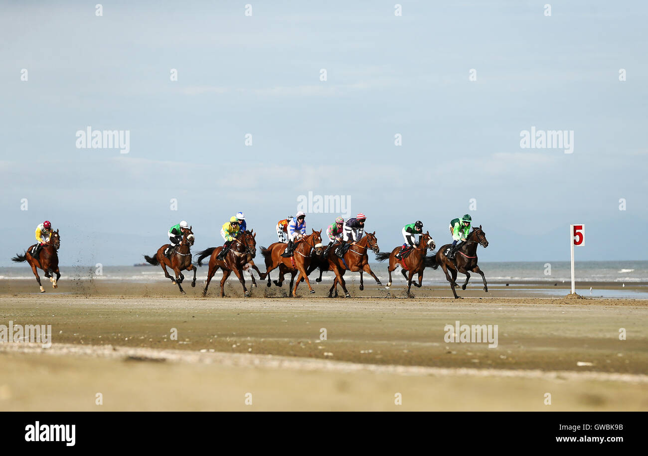 Runners and riders during the Marquees Nationwide Claiming Race at the ...