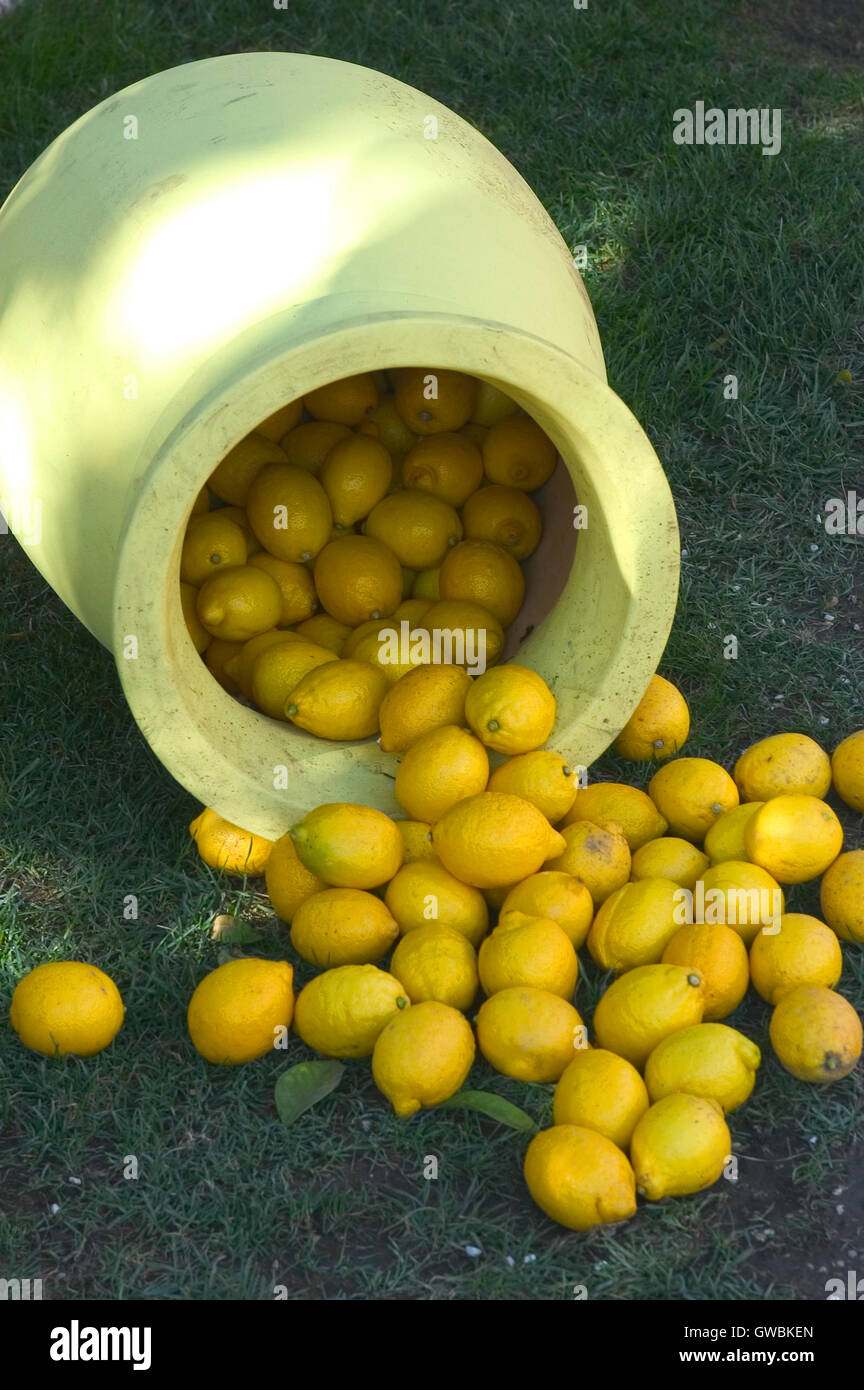 The lemon festival in the French town of Menton is in February each ...