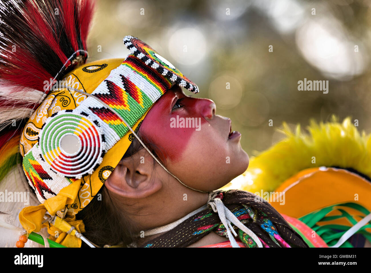 Young native indian fancy dancer hi-res stock photography and images ...