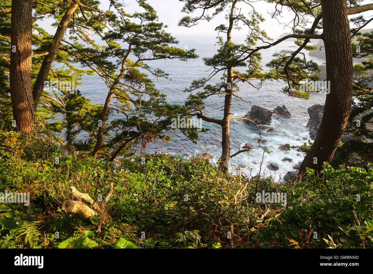 Beautiful view rocky japanese sea hi-res stock photography and images ...