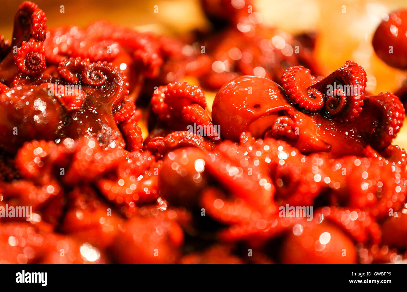 Grilled glazed octopus dish, Asian snack Stock Photo - Alamy