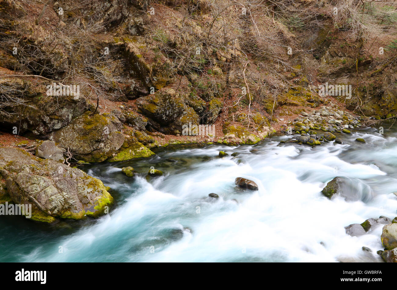A fast mountain river flows on rocks near trees Stock Photo - Alamy