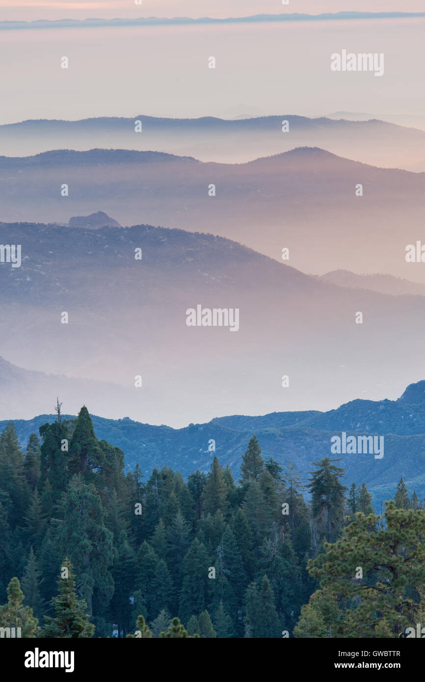 View from Beetle Rock in Sequoia National Park, California, USA Stock ...