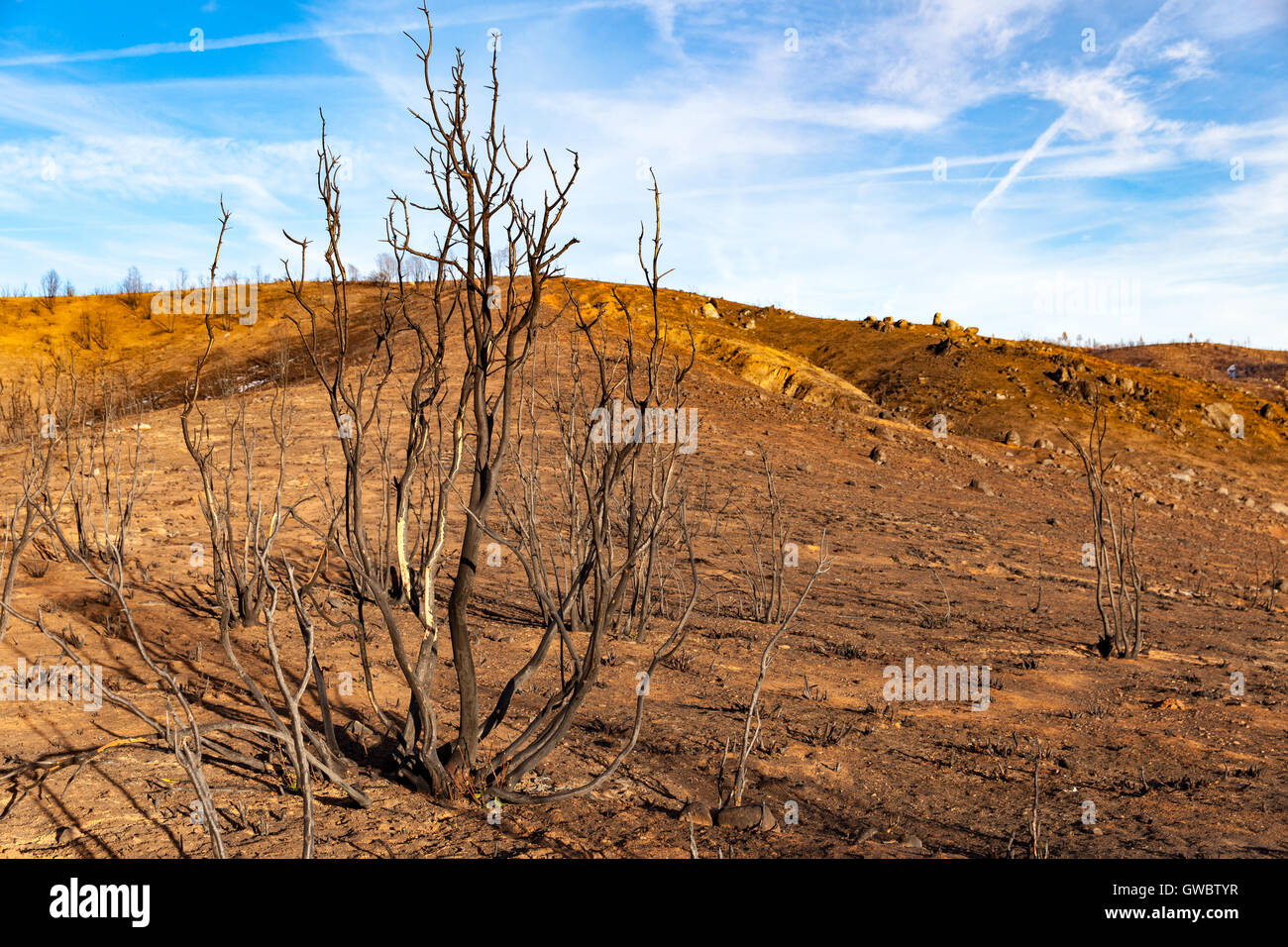 Moccasin california hi-res stock photography and images - Alamy