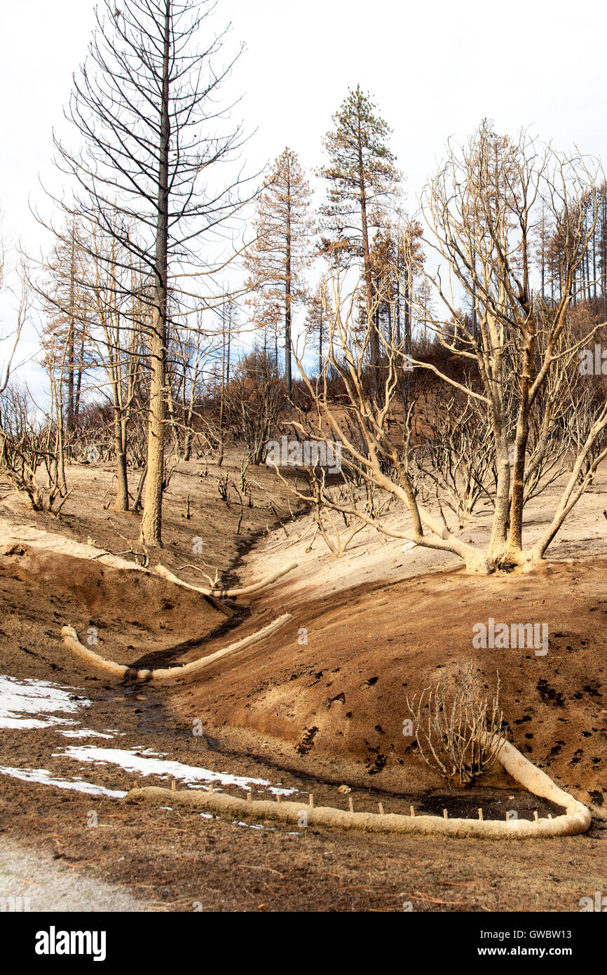 Post fire soil erosion mitigation works with mulch and check dams near ...