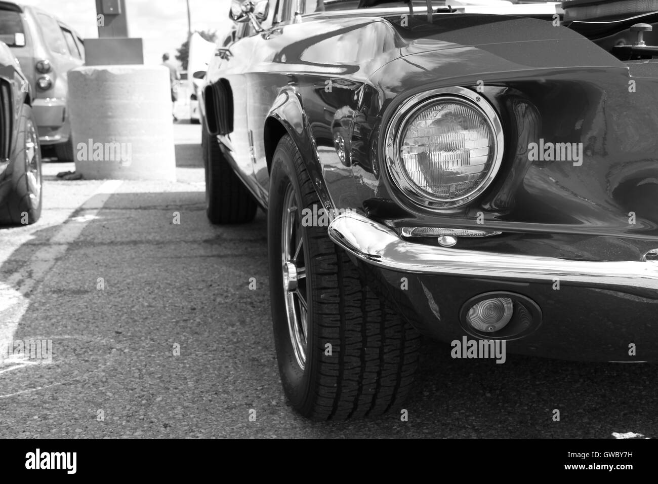 This image is photographed to display the left front headlight and show ...