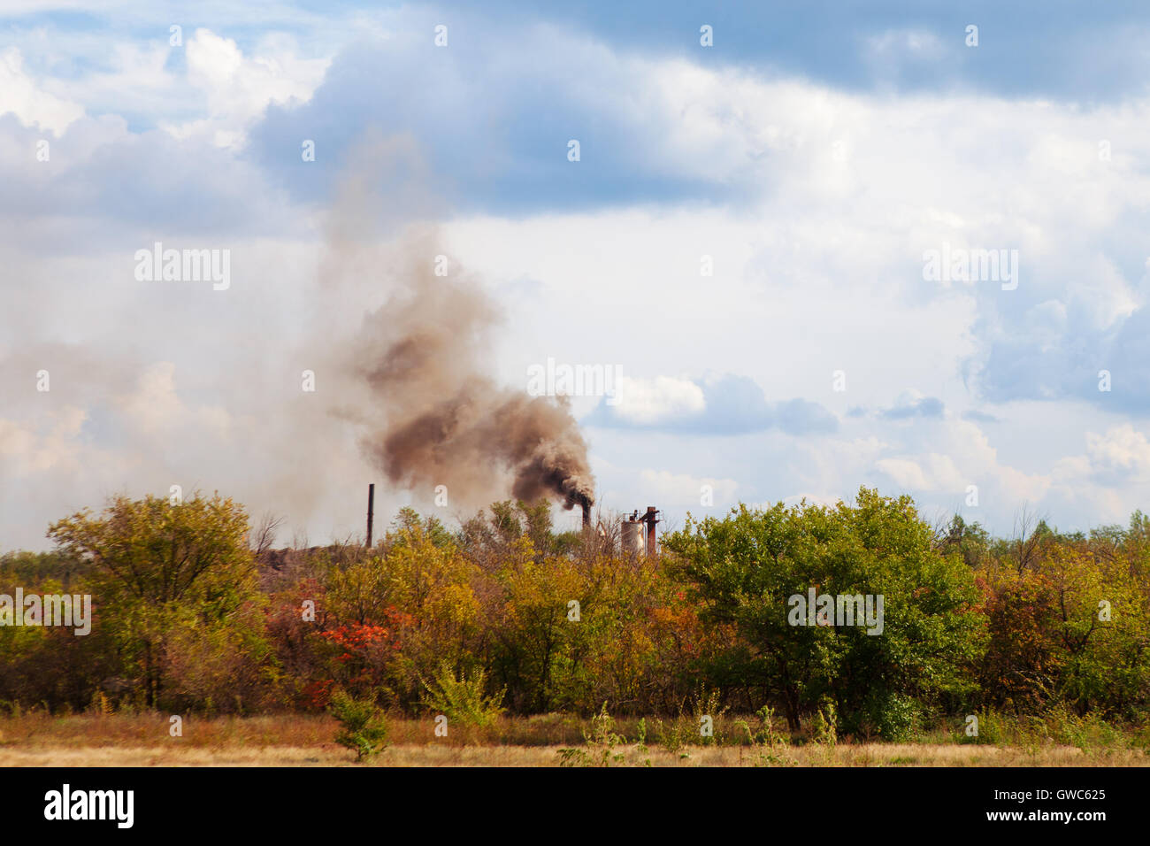 Black white smoke trees hi-res stock photography and images - Alamy
