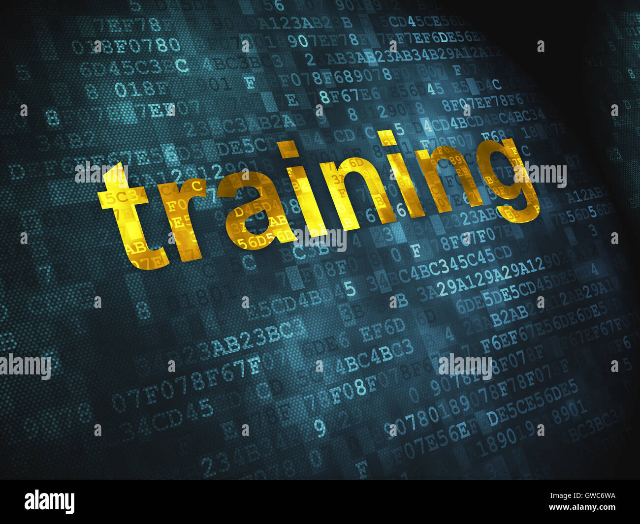 Education concept: Training on digital background Stock Photo - Alamy