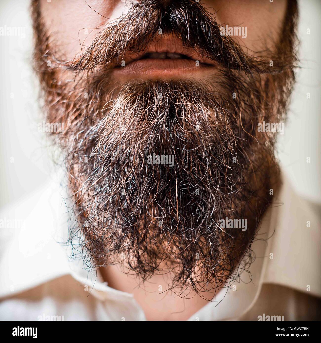 Close up of long beard and mustache Stock Photo - Alamy