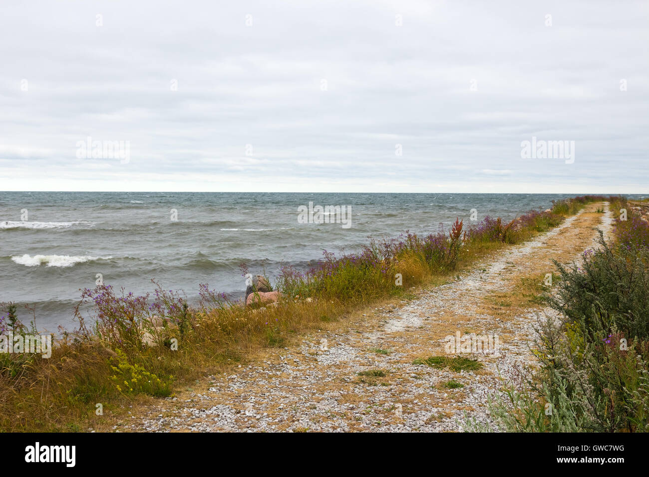 Overcast windy day along seaside hi-res stock photography and images ...