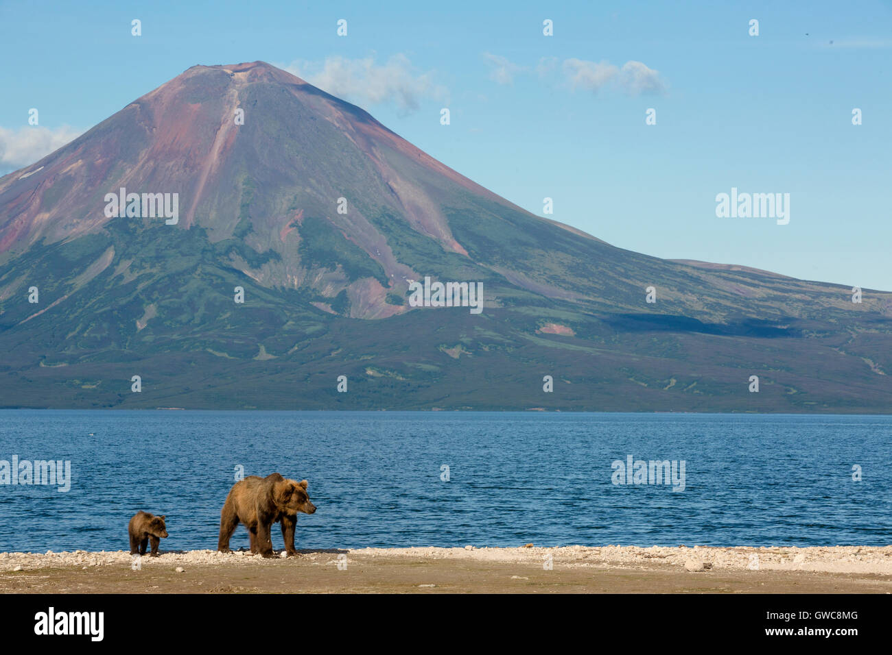 View of Kurile lake against the backdrop of the Ilyinsky volcano in ...