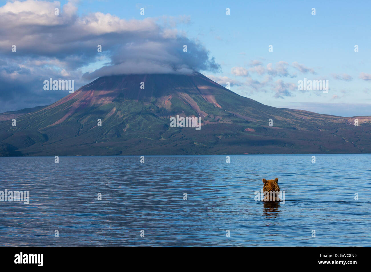 View of Kurile lake against the backdrop of the Ilyinsky volcano in ...