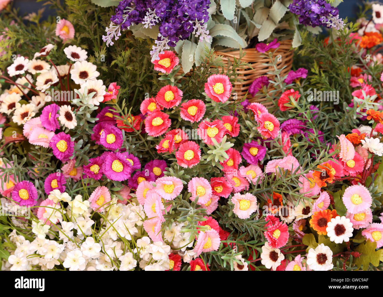 flower for decoration Stock Photo - Alamy