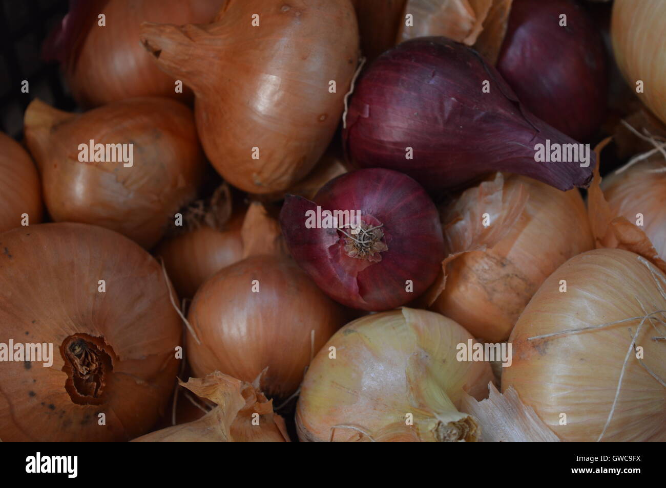 Onion box hi-res stock photography and images - Alamy