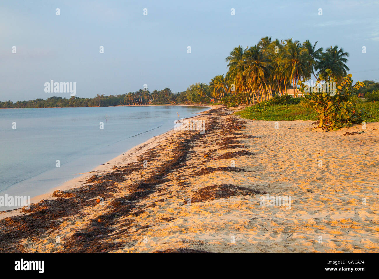 view of the Bay of PIgs or Bahia de Cochinos, Cuba, site of the failed ...