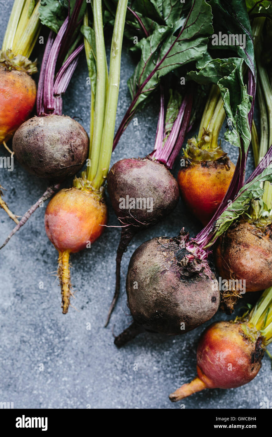 Freshly picked beets are photographed from the top view Stock Photo - Alamy