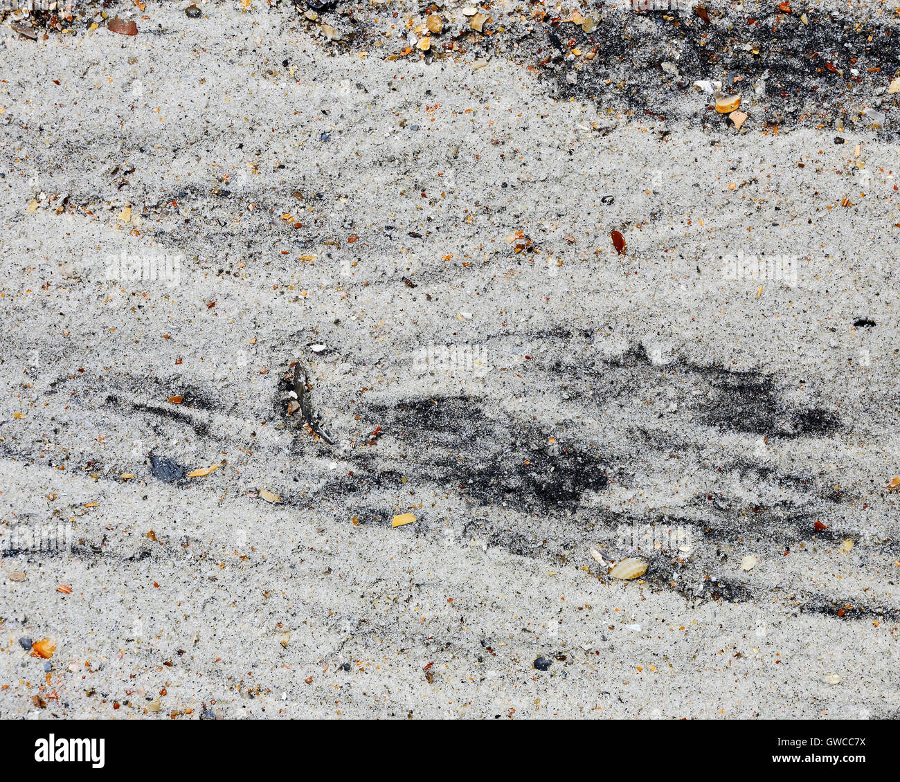 Dark pattern in beach sand and small shells Stock Photo - Alamy
