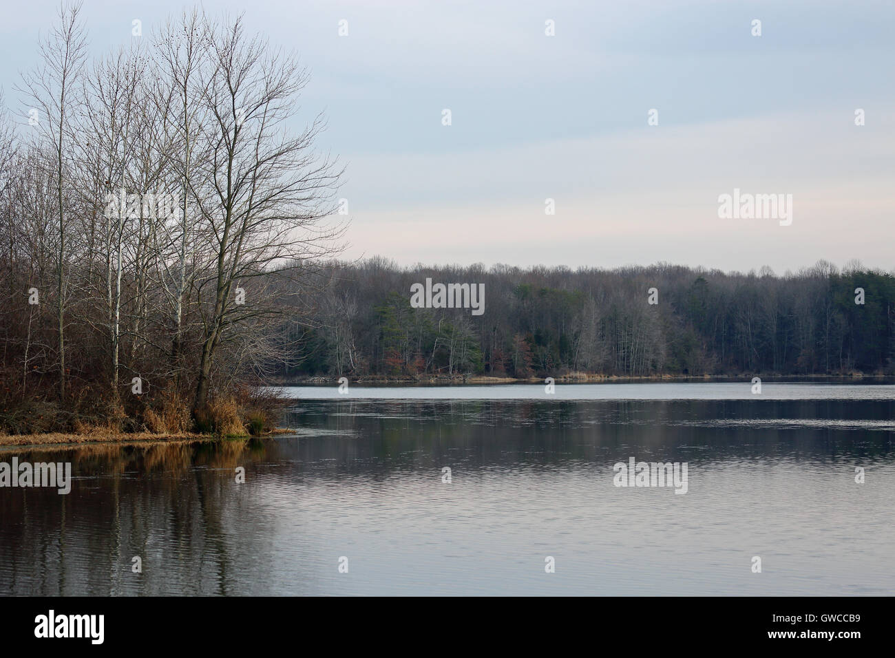 Inland lake in late fall with ripples on the water and trees on the ...