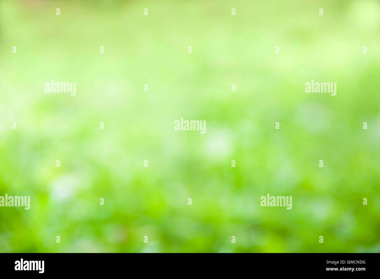 Blurred bokeh background hi-res stock photography and images - Alamy