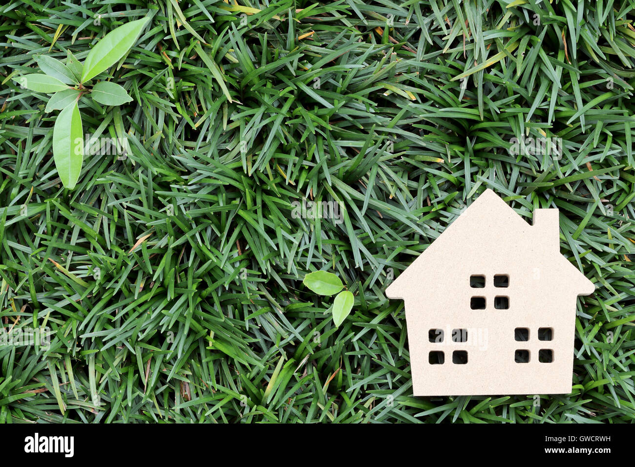 house on concept green background Stock Photo - Alamy