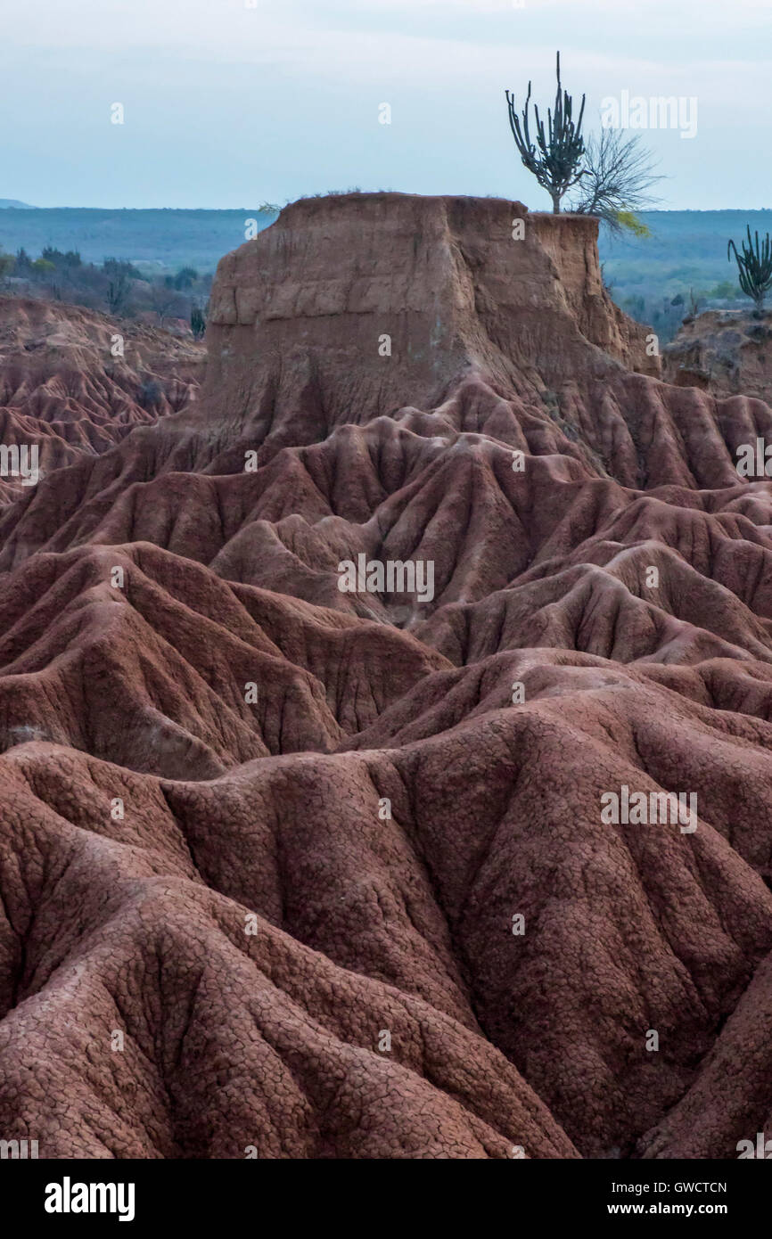 Tatacoa hi-res stock photography and images - Alamy