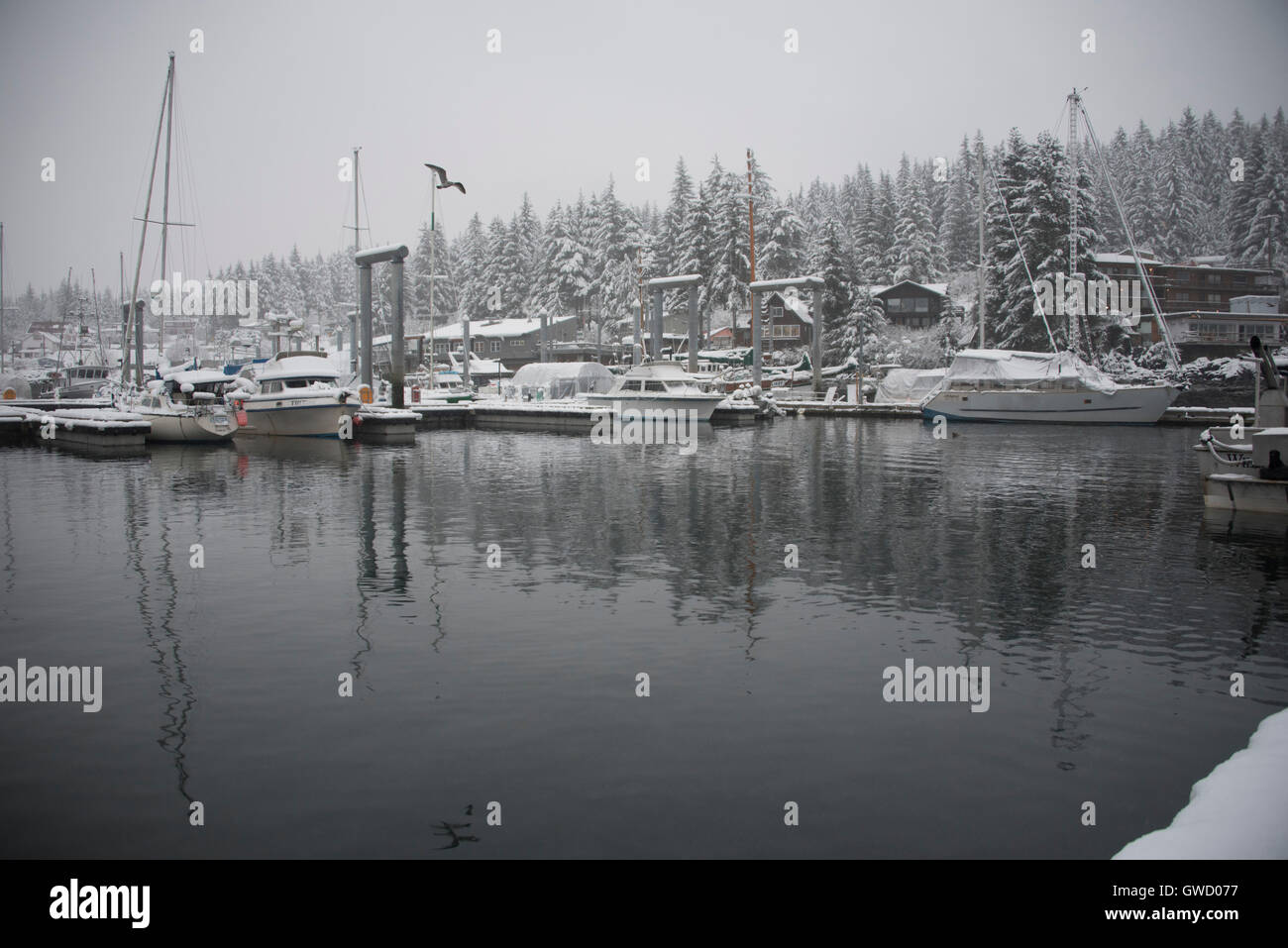 Alaska Winter Harbor Stock Photo - Alamy