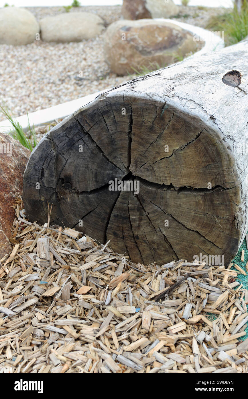 Dead log as garden decoration Stock Photo - Alamy