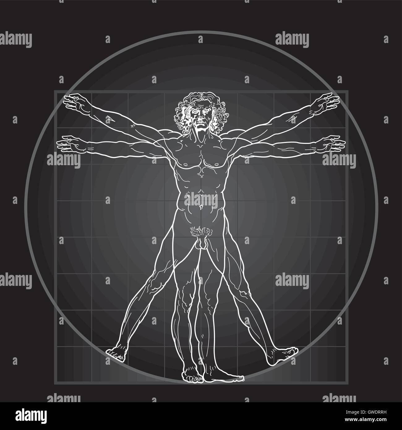 The Vitruvian man (Black Invert version Stock Vector Image & Art - Alamy