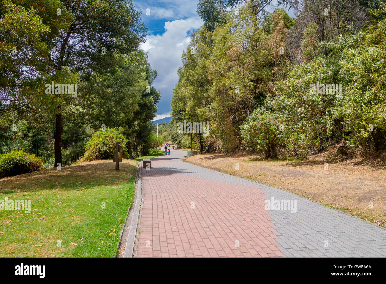 Nice park inside the city, big trees and grass cover the place with a ...