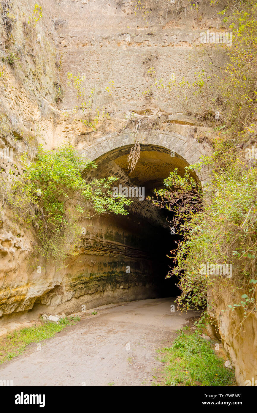 Deep and dark cave in the middle of the road, trees cover the entrance ...