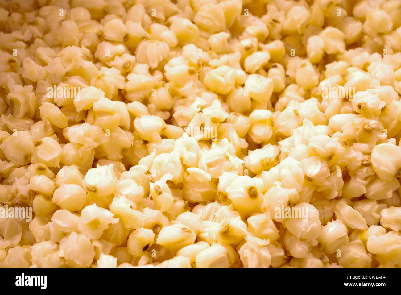 Gold diet cereal white dish hi-res stock photography and images - Alamy
