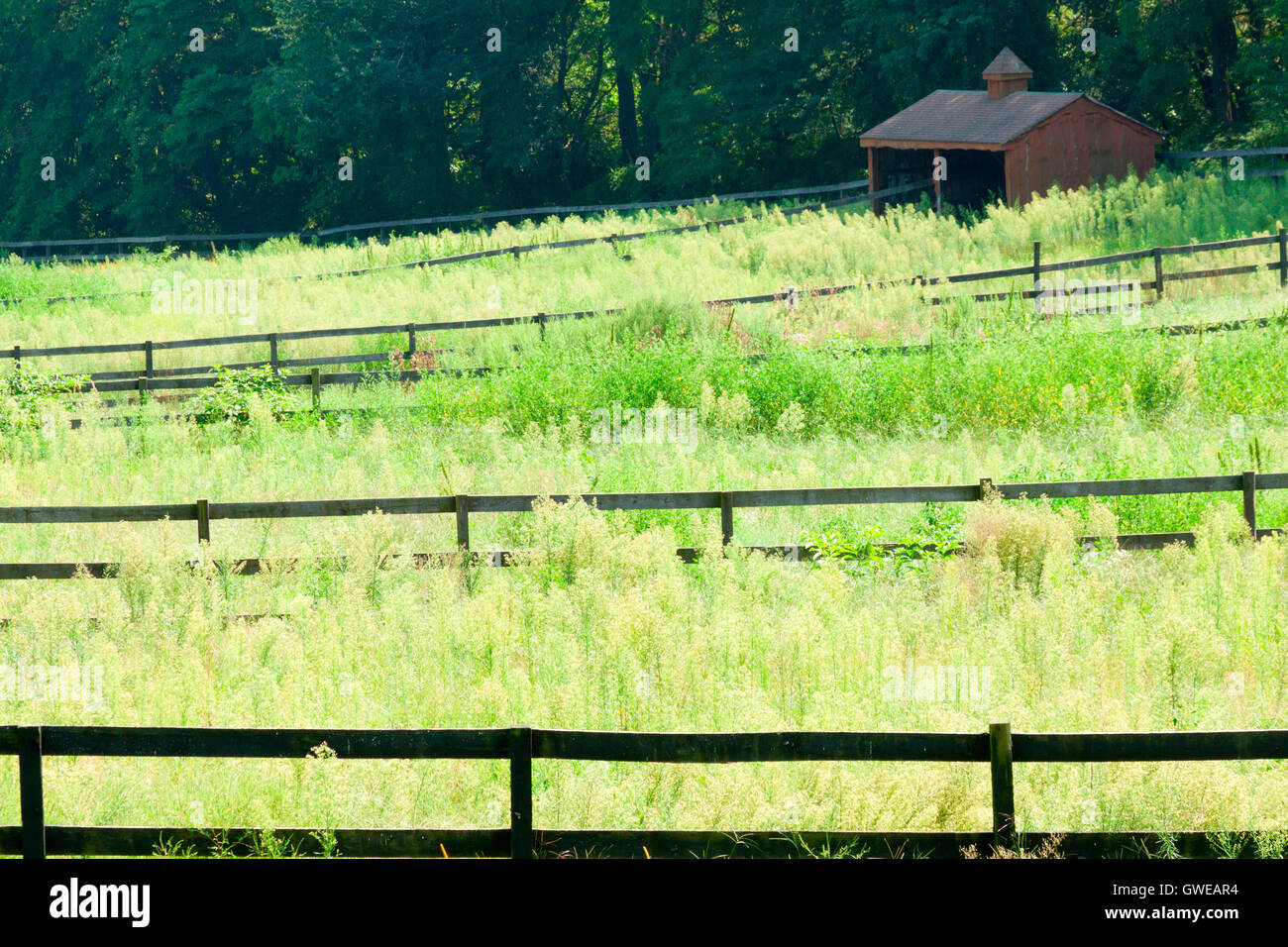 Wooden fences dividing the farmland Stock Photo - Alamy