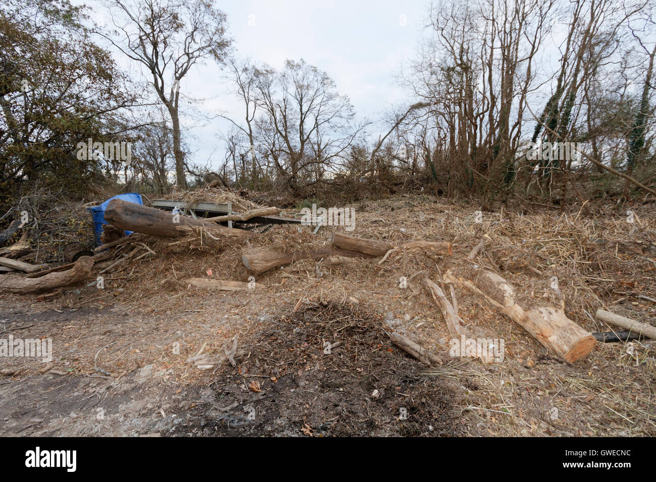 STATEN ISLAND, USA - NOVEMBER 4: The images of devastation caused by ...