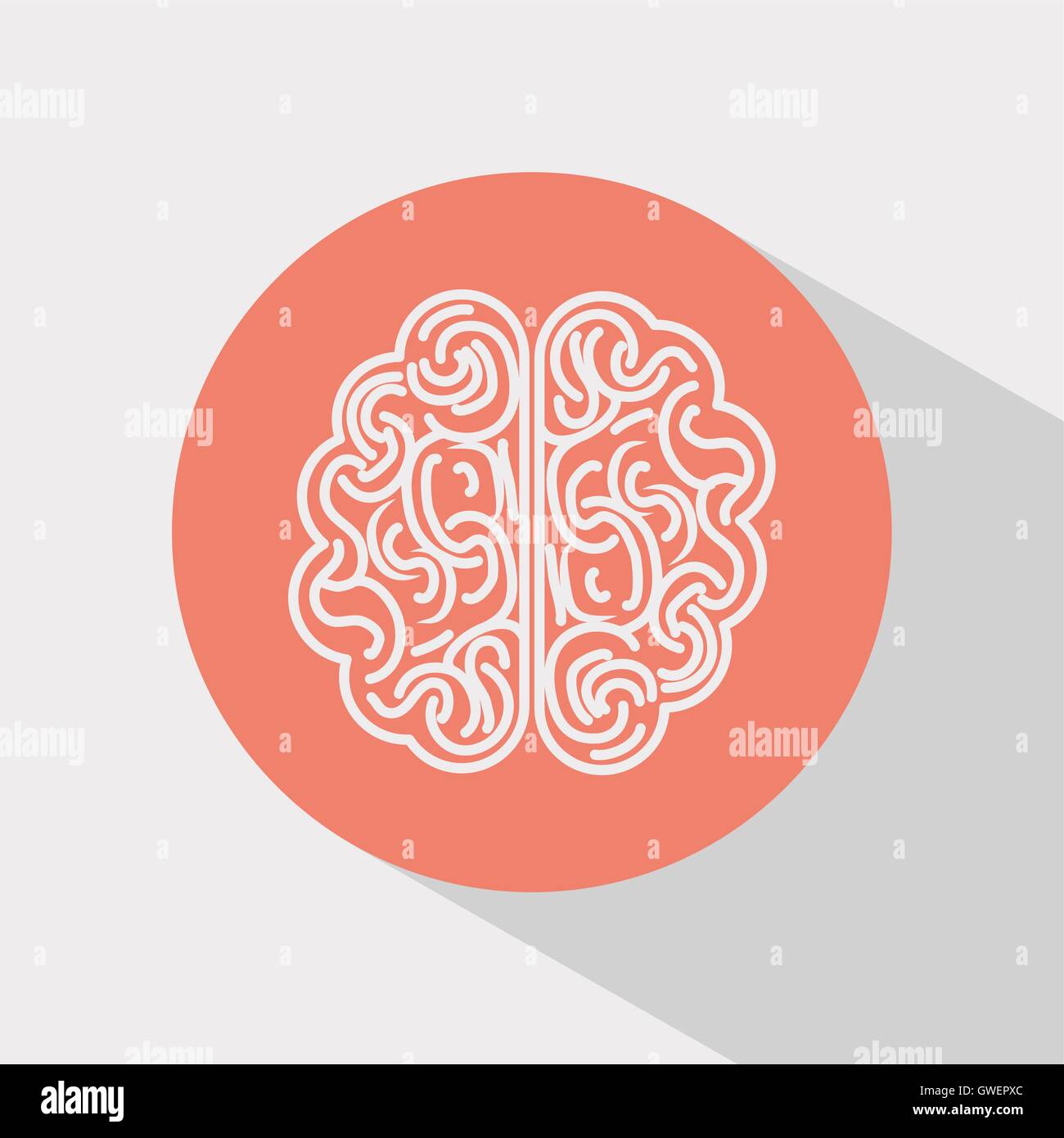 Brain organ inside circle design Stock Vector Image & Art - Alamy